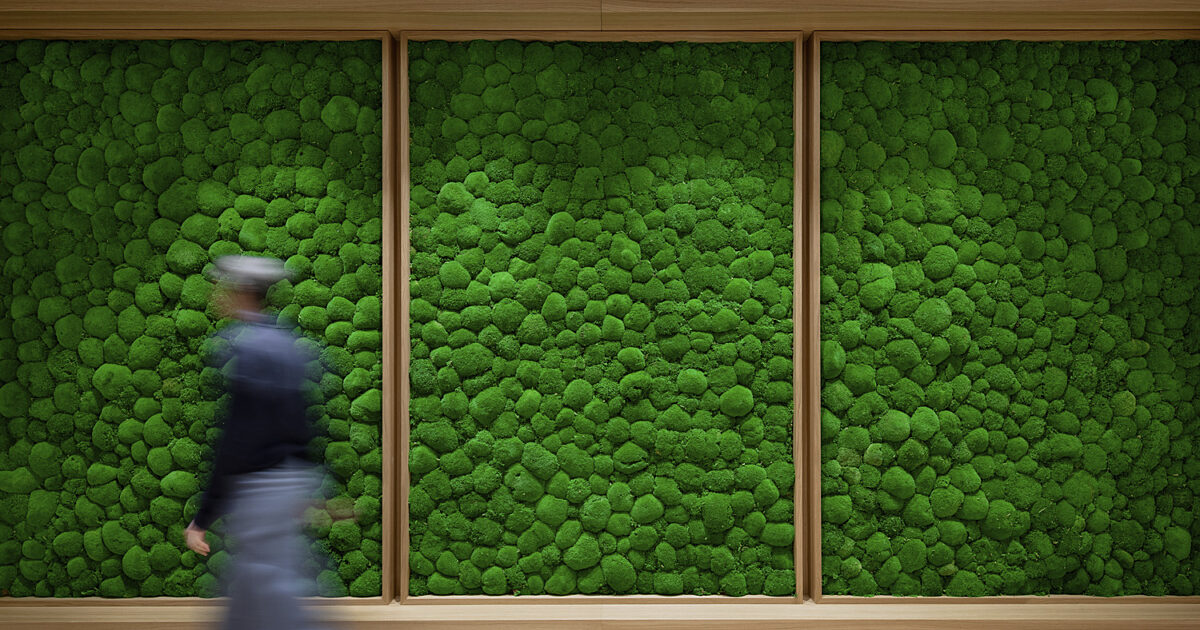 Top 5 sustainable office fit outs | Overbury